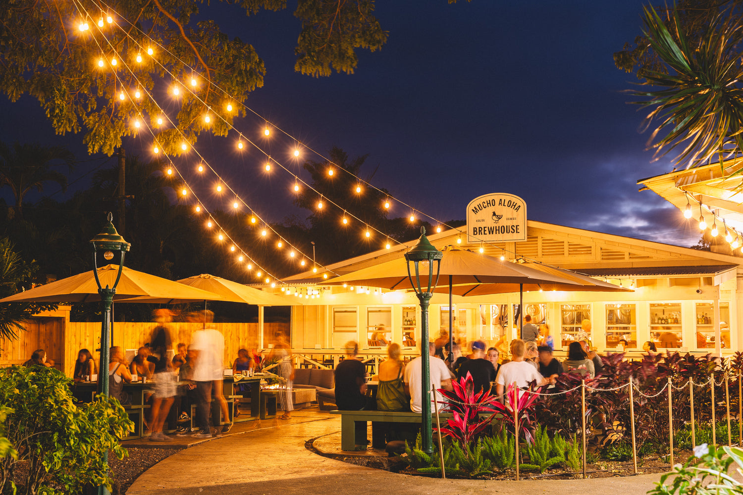 Mucho Aloha Brewhouse