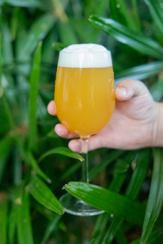 CURRENT BEERS – Mucho Aloha Brewhouse