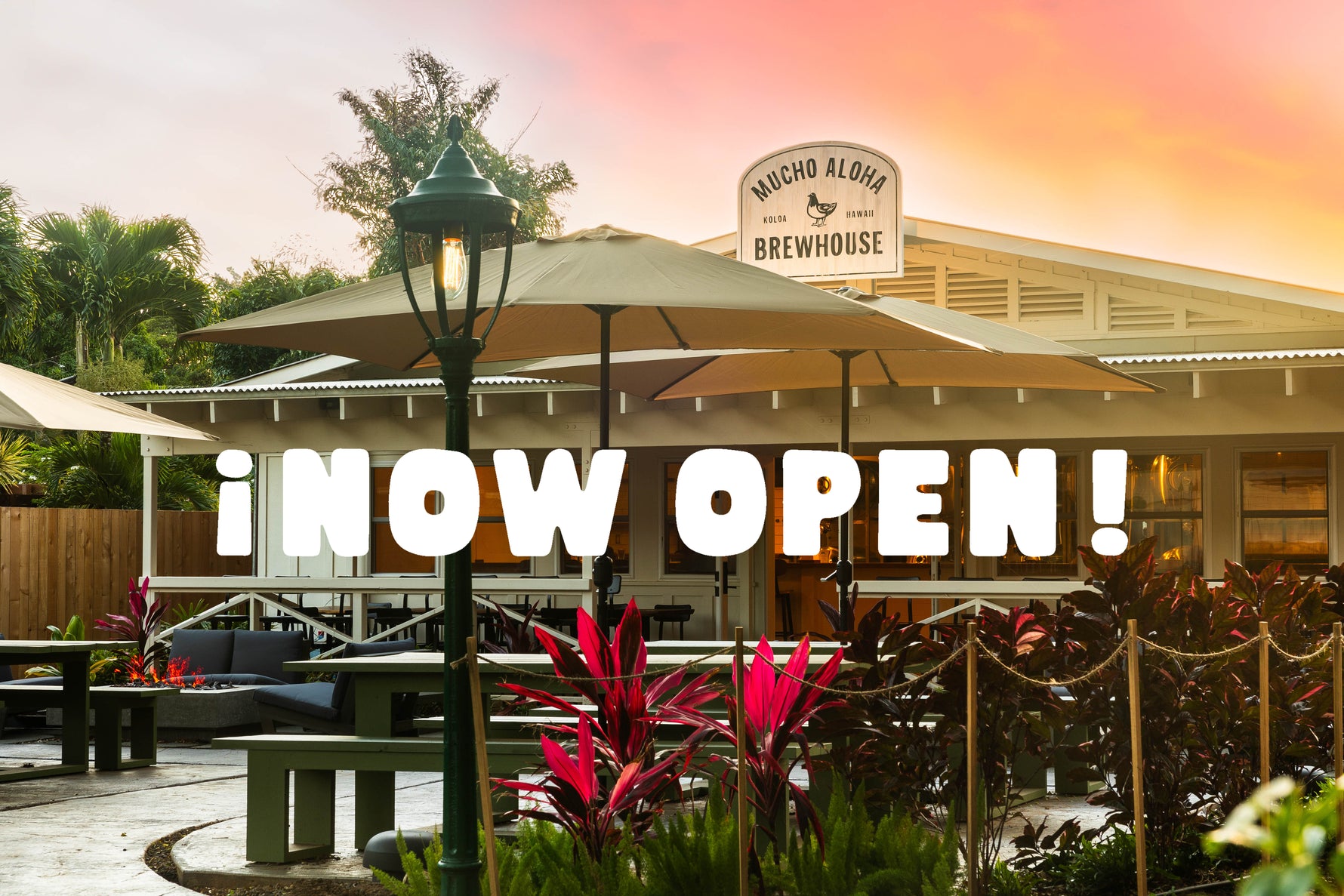 Mucho Aloha Brewhouse