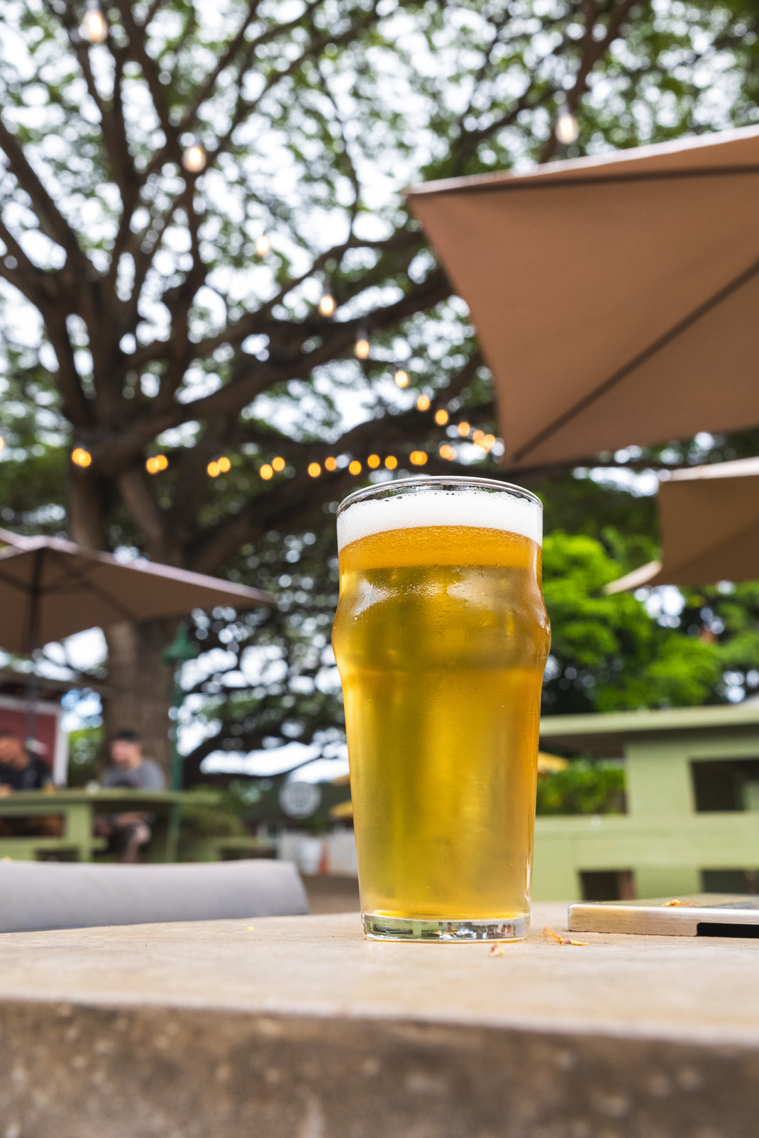 CURRENT BEERS – Mucho Aloha Brewhouse